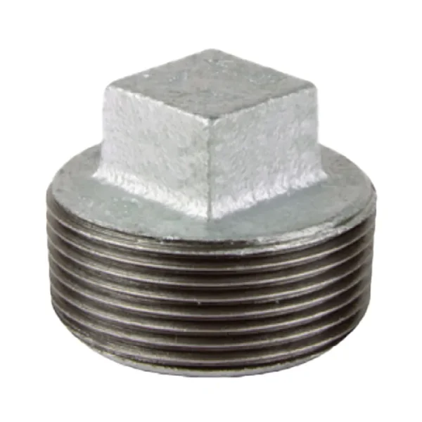 GALV 50MM HOLLOW PLUG – Lin Tanks Gauteng West